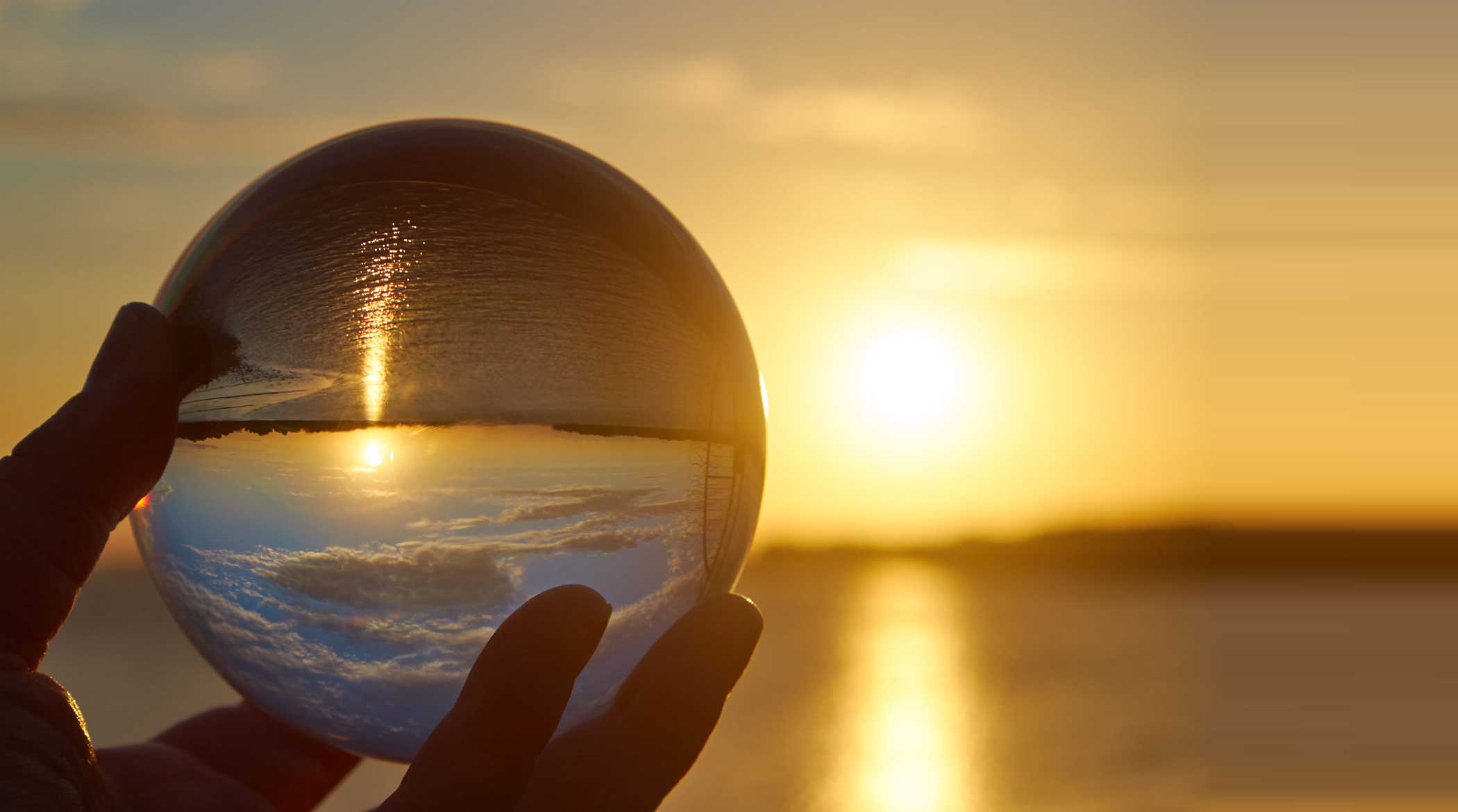 Download our Corporate Brochure to Learn About IQ BackOffice